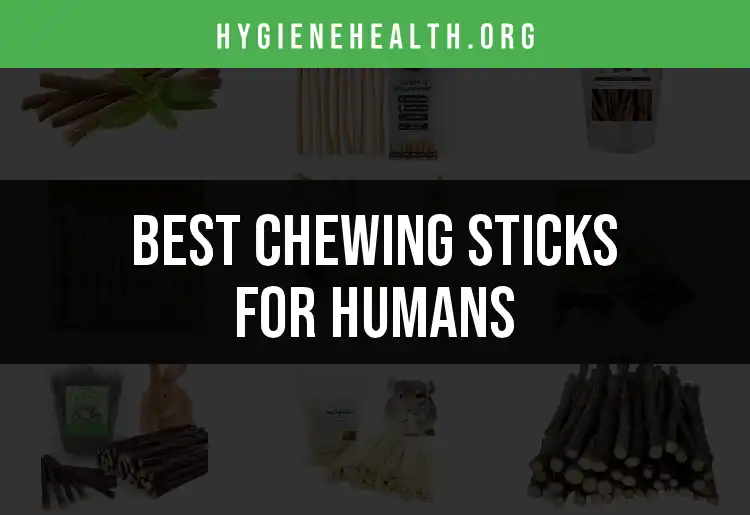 12 Must-Try Chewing Sticks for Humans Today